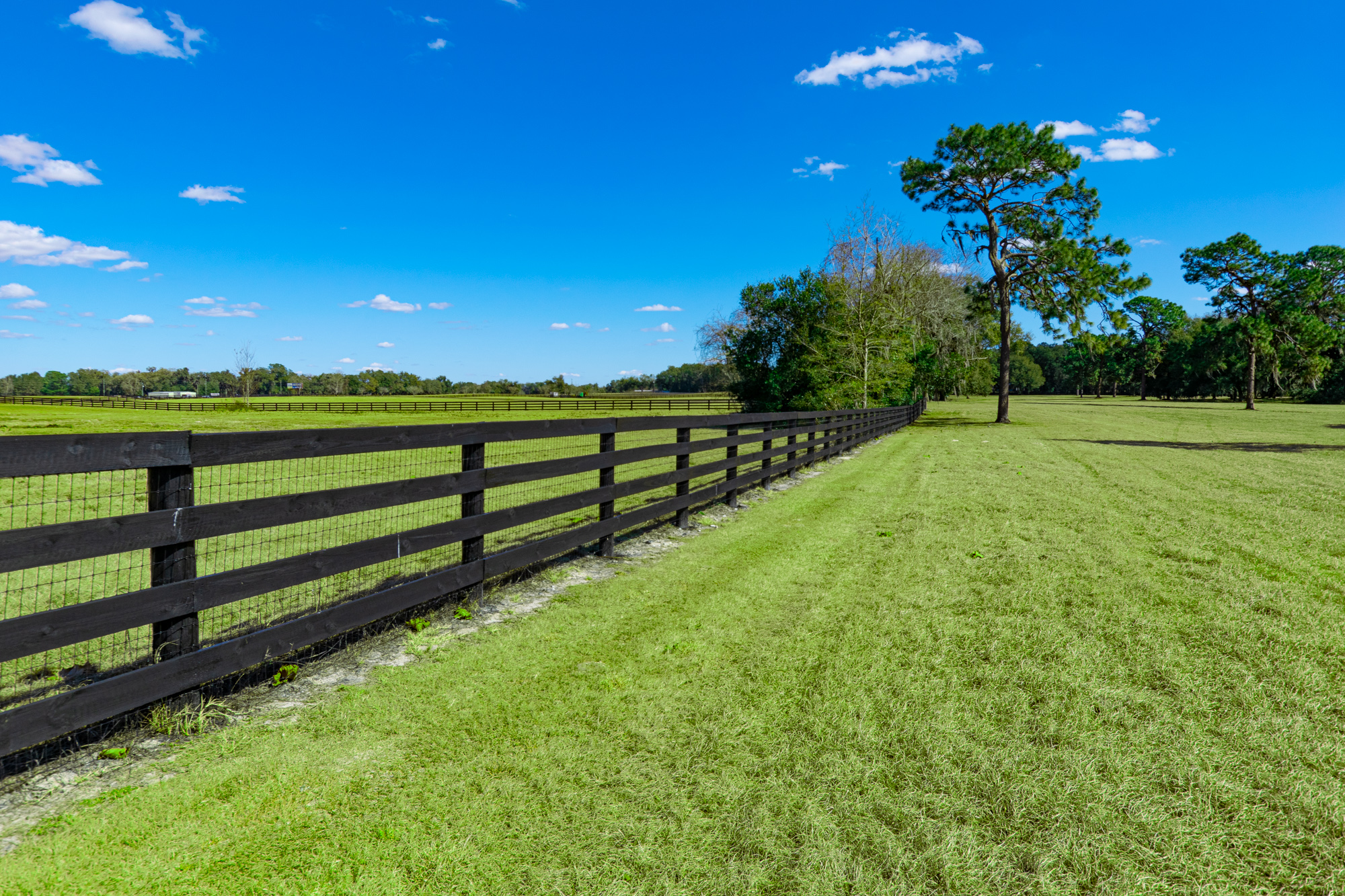 Top Farm Fencing Trends for 2026: Durable, Safe & Built for Modern ...